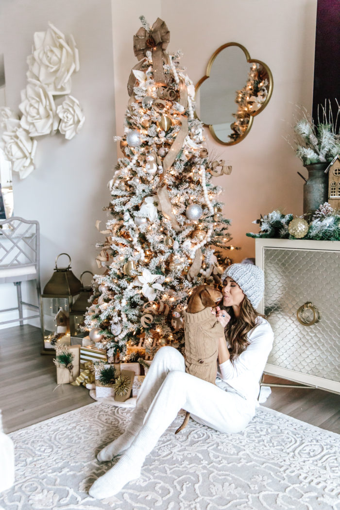 Where To Snag The Cutest Christmas Decor This Year | Alyson Haley